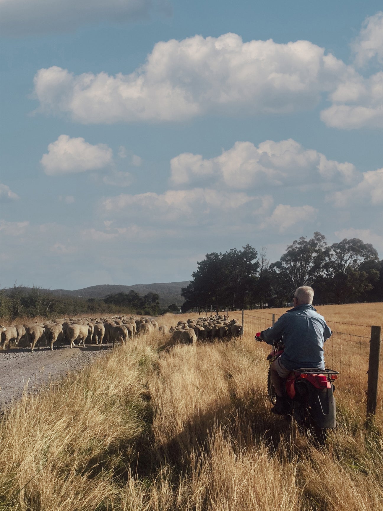 Cooper's Cormo – Waverley Mills