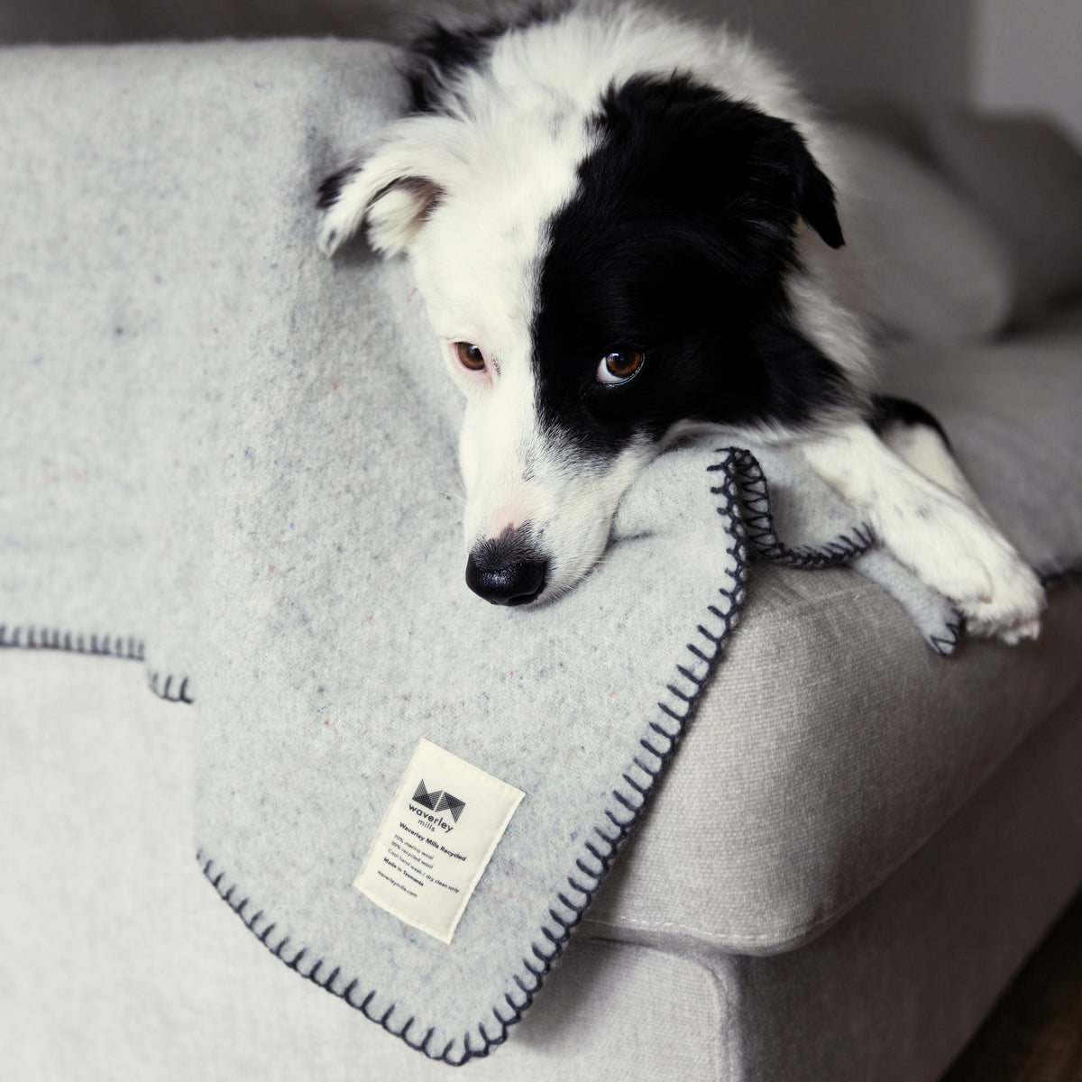 Large Recycled Wool Pet Blanket in Charcoal – Waverley Mills